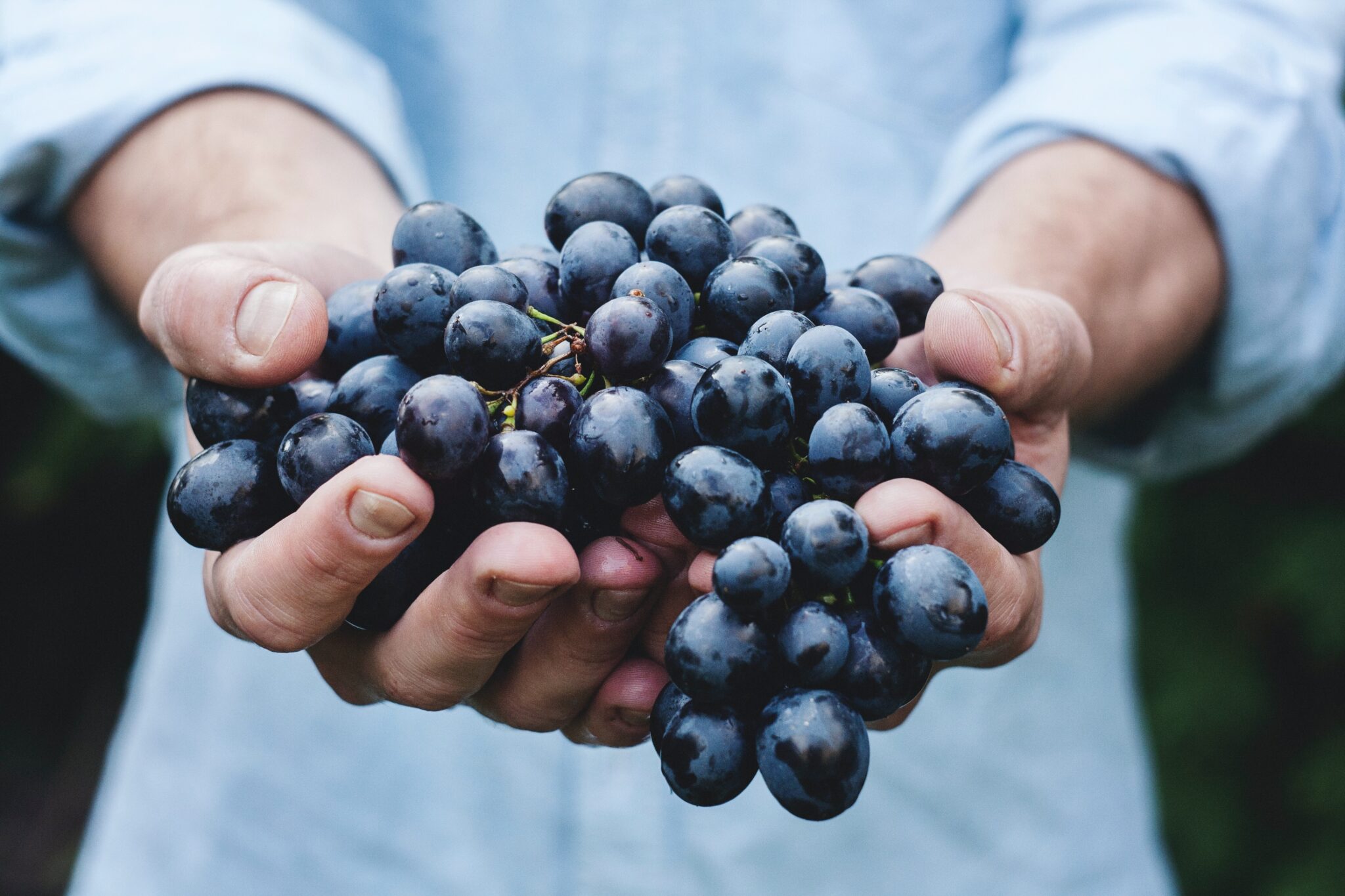 How Heavy is Your Red Wine? Plus: 25 Varieties Ranked - How Heavy is ...